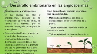 Unidad 4. histologia_y_fisiología_vegetal | PPTX
