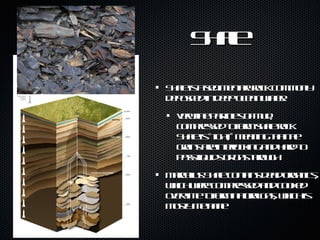 The Greater Cumberland Committee Presentation | PPT