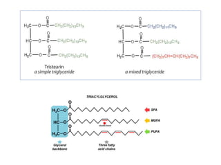 Simple Triglyceride