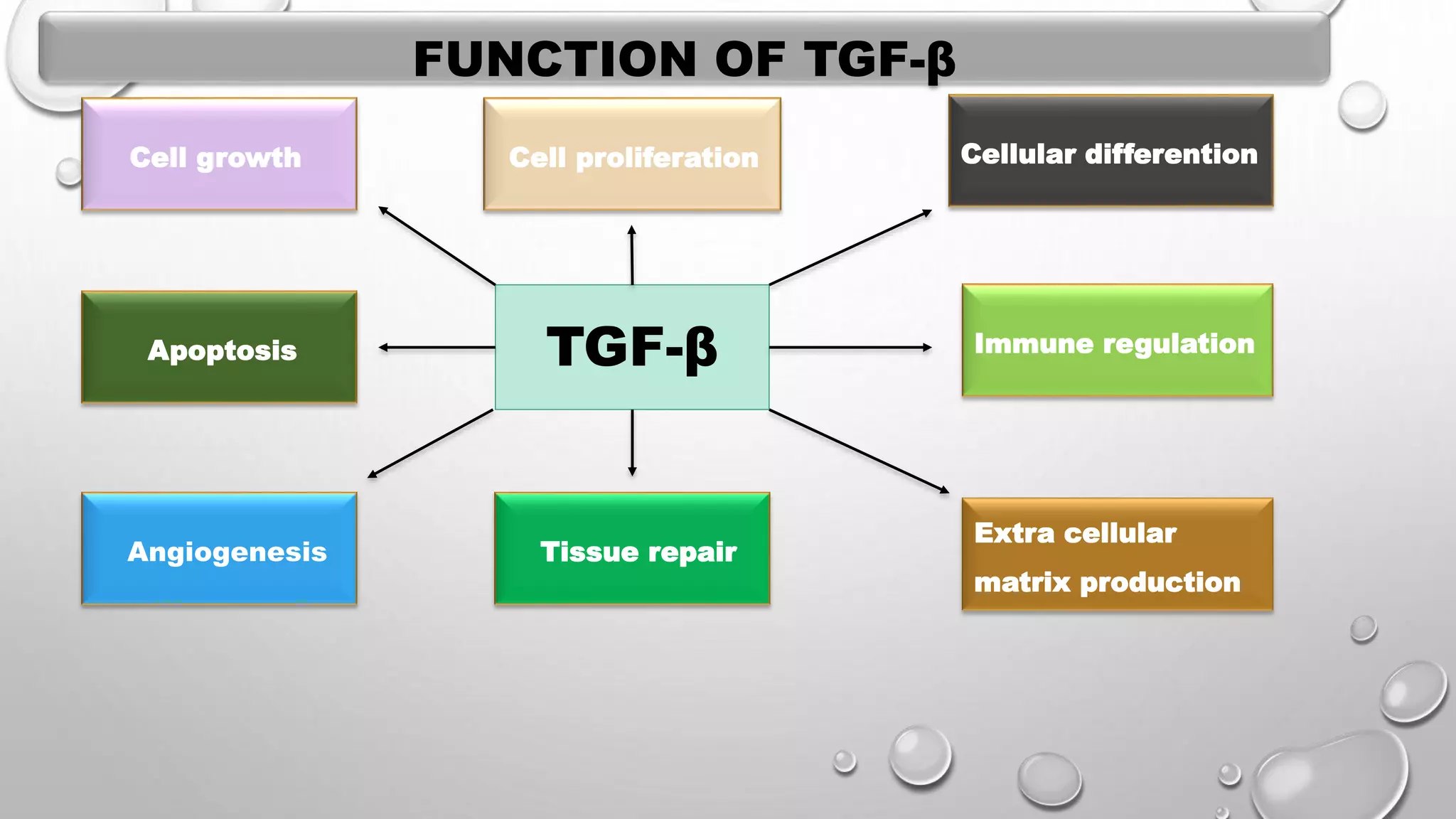 Tgf beta signalling pathway | PPTX