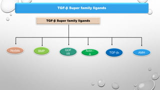 Tgf beta signalling pathway | PPTX