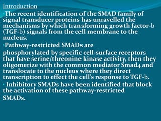 TGF β signalling from cell | PPT