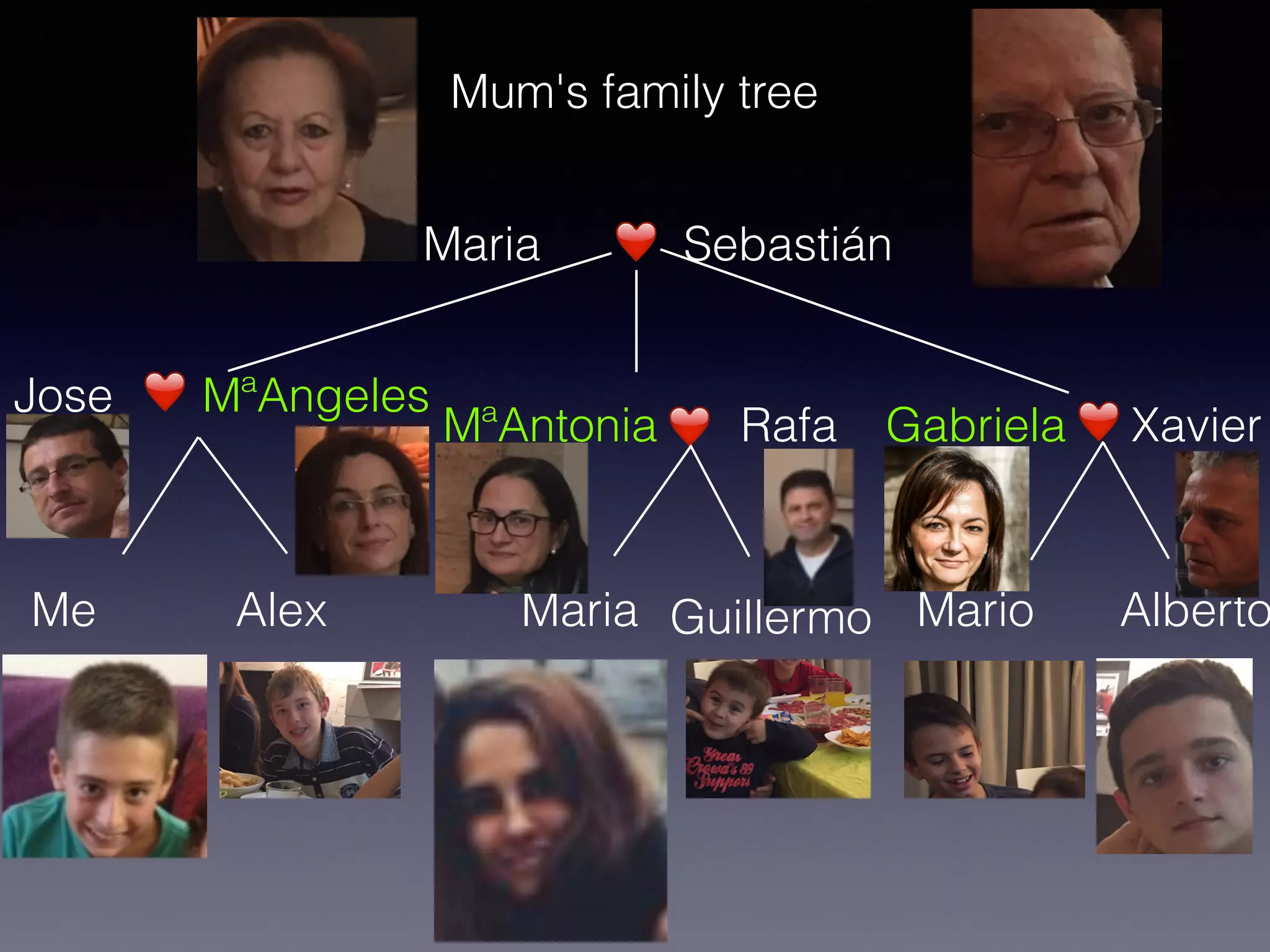 My family tree | PDF