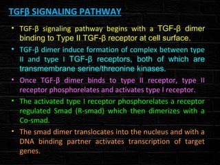Tgfβ activation and signaling | PPT