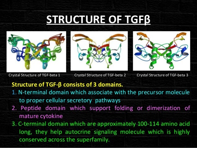 Tgfβ activation and signaling