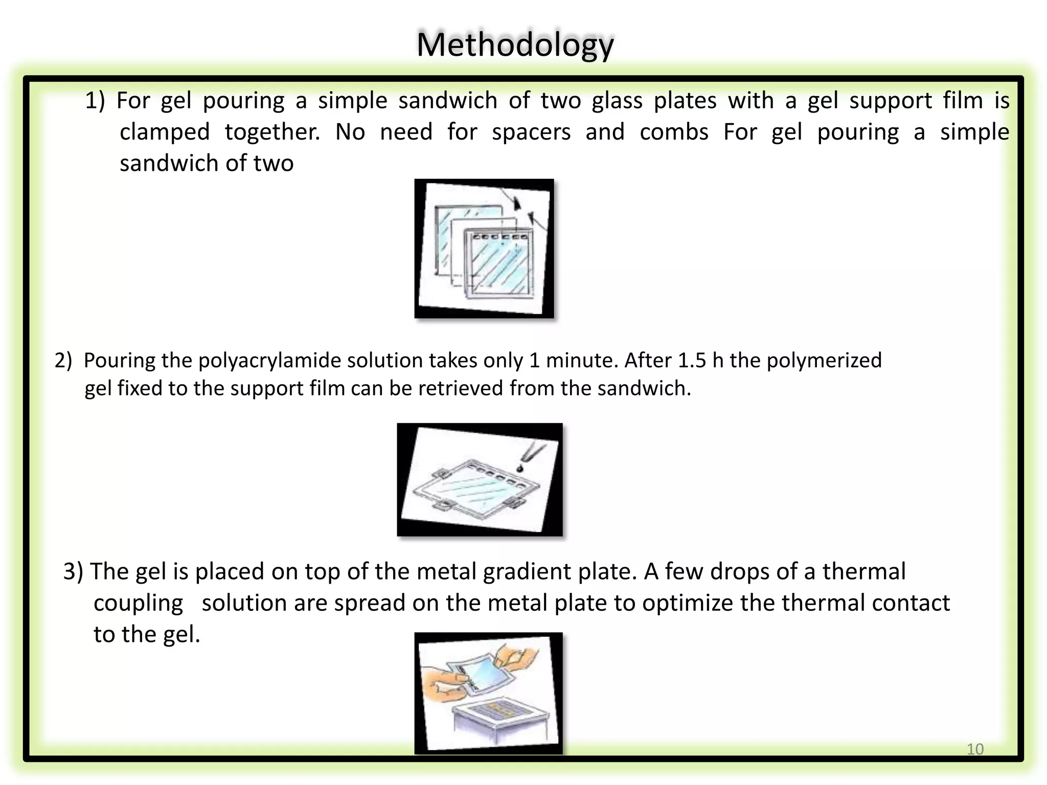 Temperature Gradient Gel Electrophoresis | PPTX