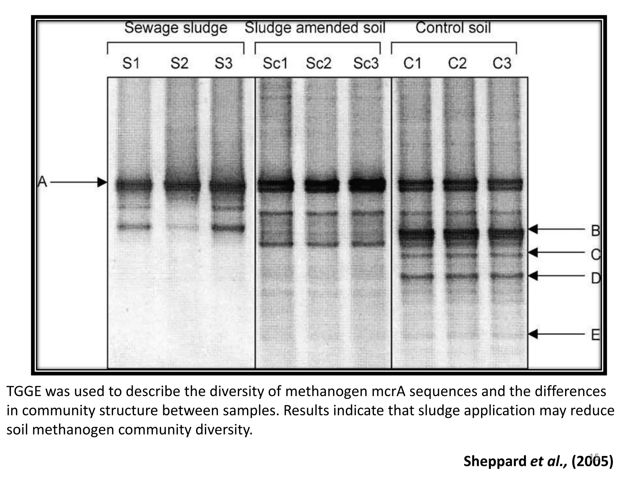 Temperature Gradient Gel Electrophoresis | PPTX