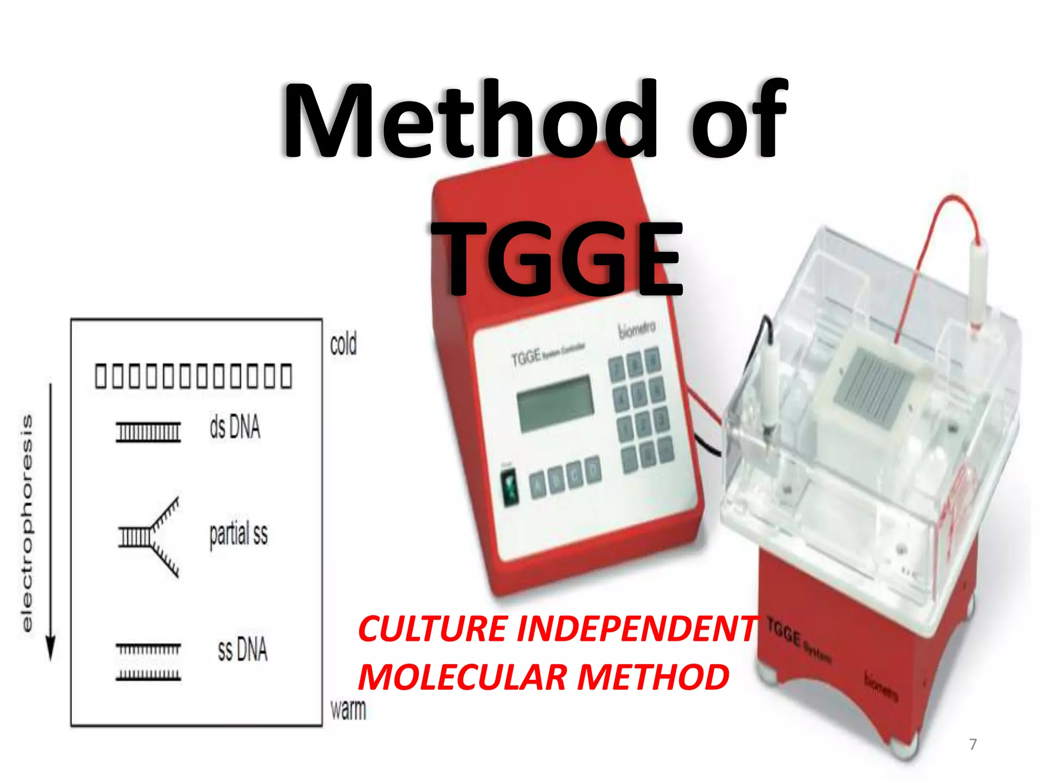 Temperature Gradient Gel Electrophoresis | PPTX
