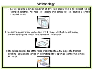 Temperature Gradient Gel Electrophoresis | PPTX