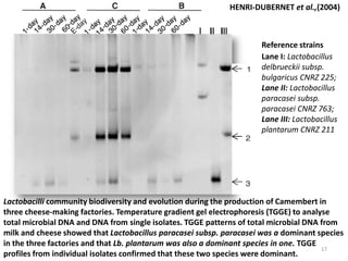 Temperature Gradient Gel Electrophoresis | PPTX