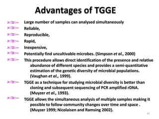 Temperature Gradient Gel Electrophoresis | PPTX
