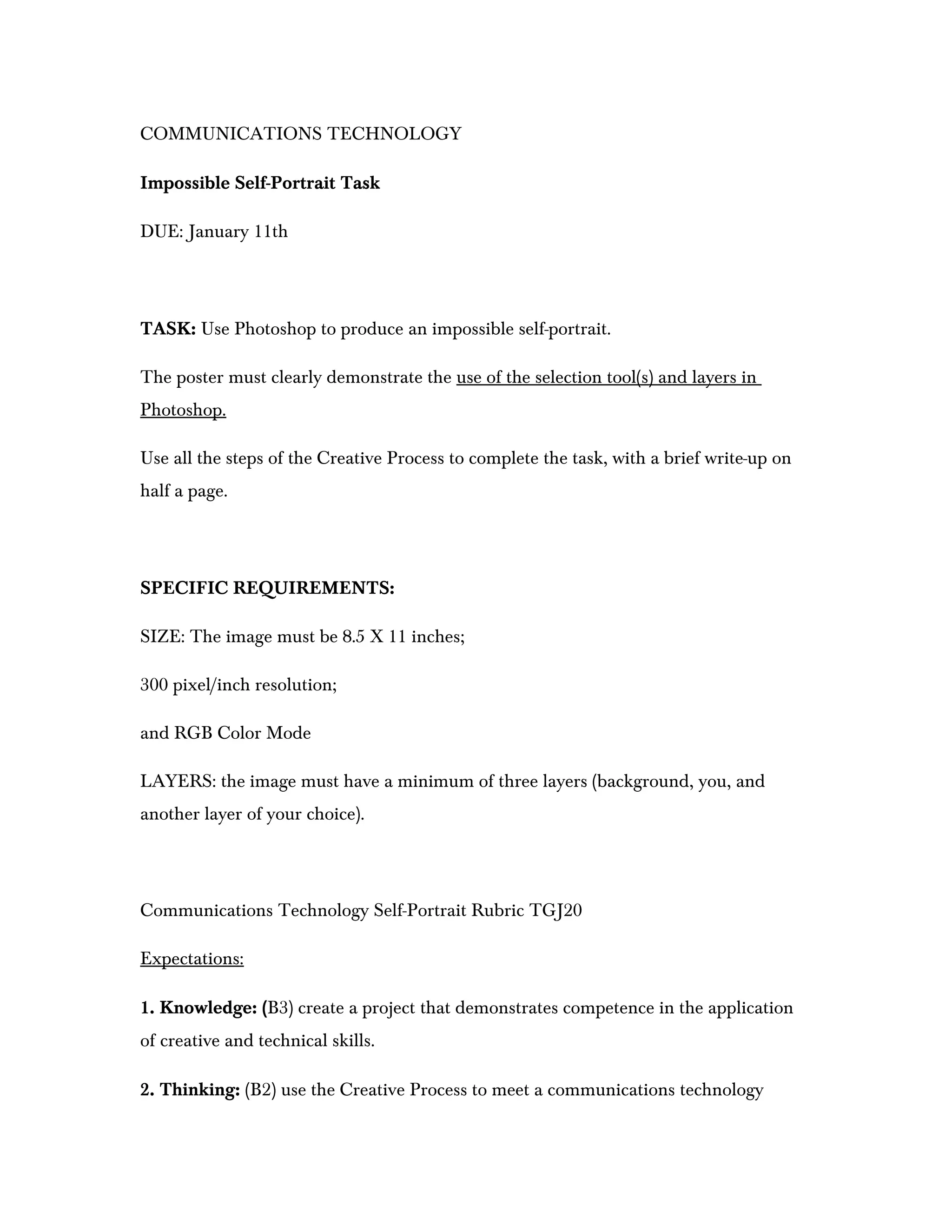 Tgj20 self portrait-rubric | PDF