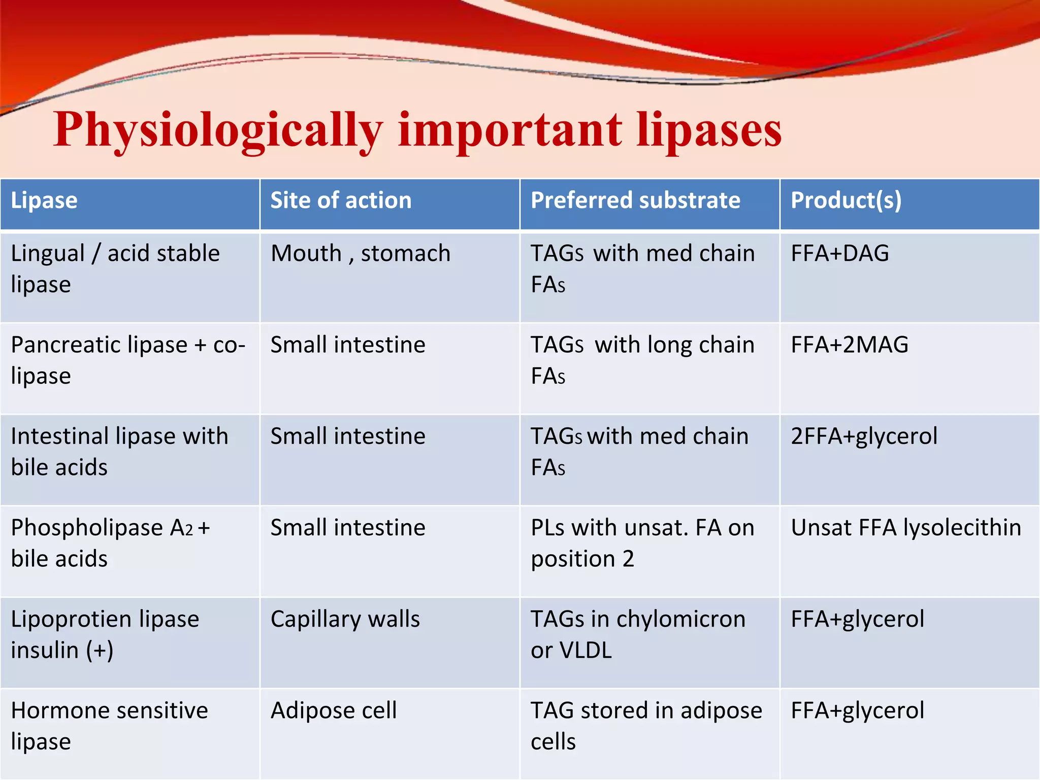TGL AND ADIPOSE TISSUE METABOLISM-MBBS 2022-23.pptx