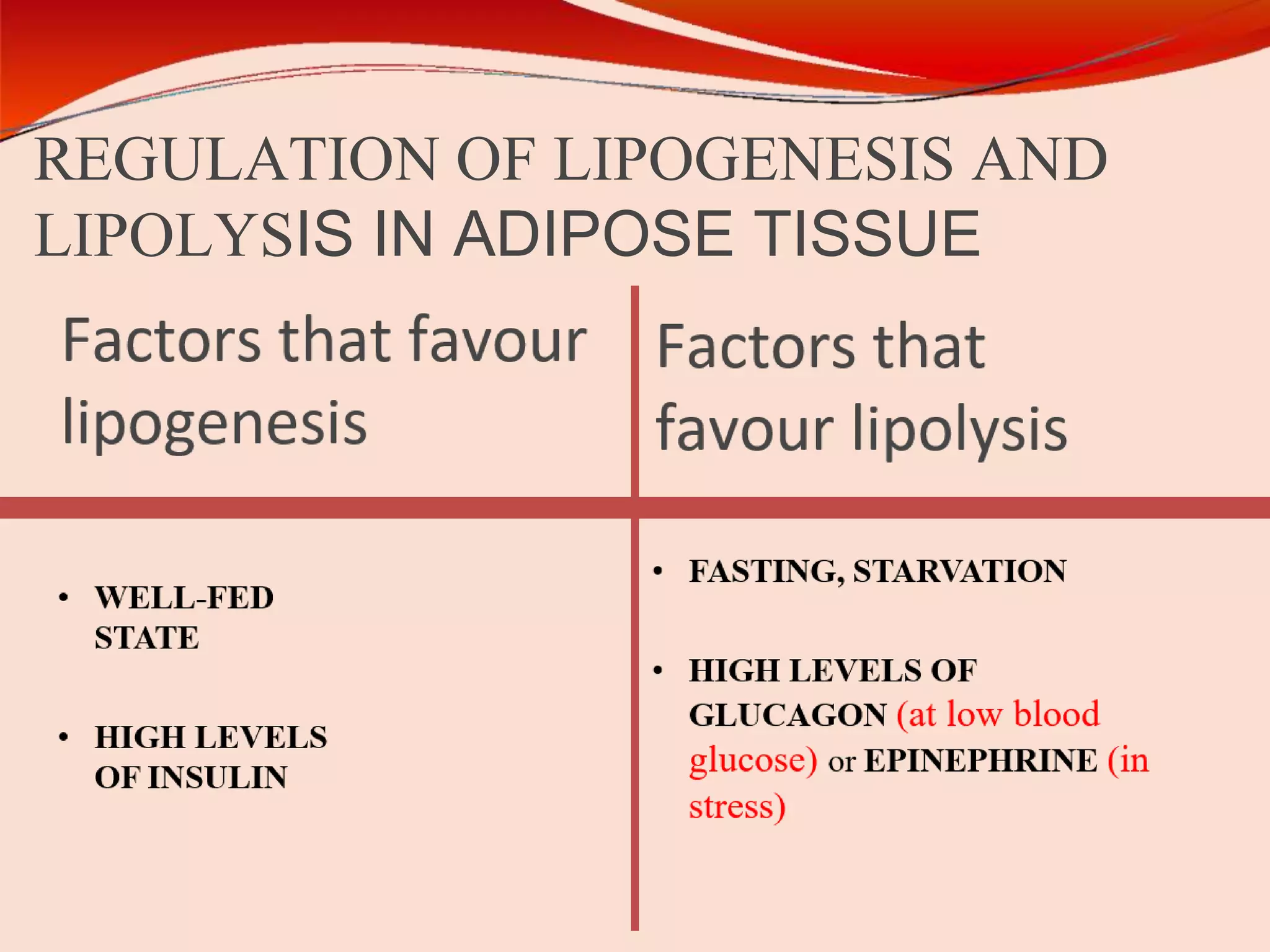 TGL AND ADIPOSE TISSUE METABOLISM-MBBS 2022-23.pptx