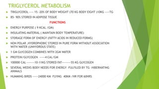 Tg metabolism final | PDF