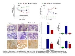 Tgr5 and intestinal mucosa | PPTX