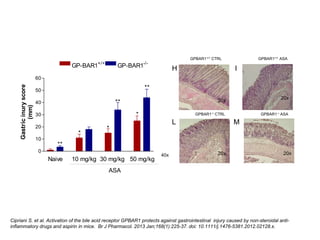 Tgr5 and intestinal mucosa | PPTX