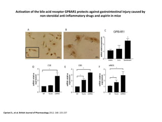 Tgr5 and intestinal mucosa | PPTX