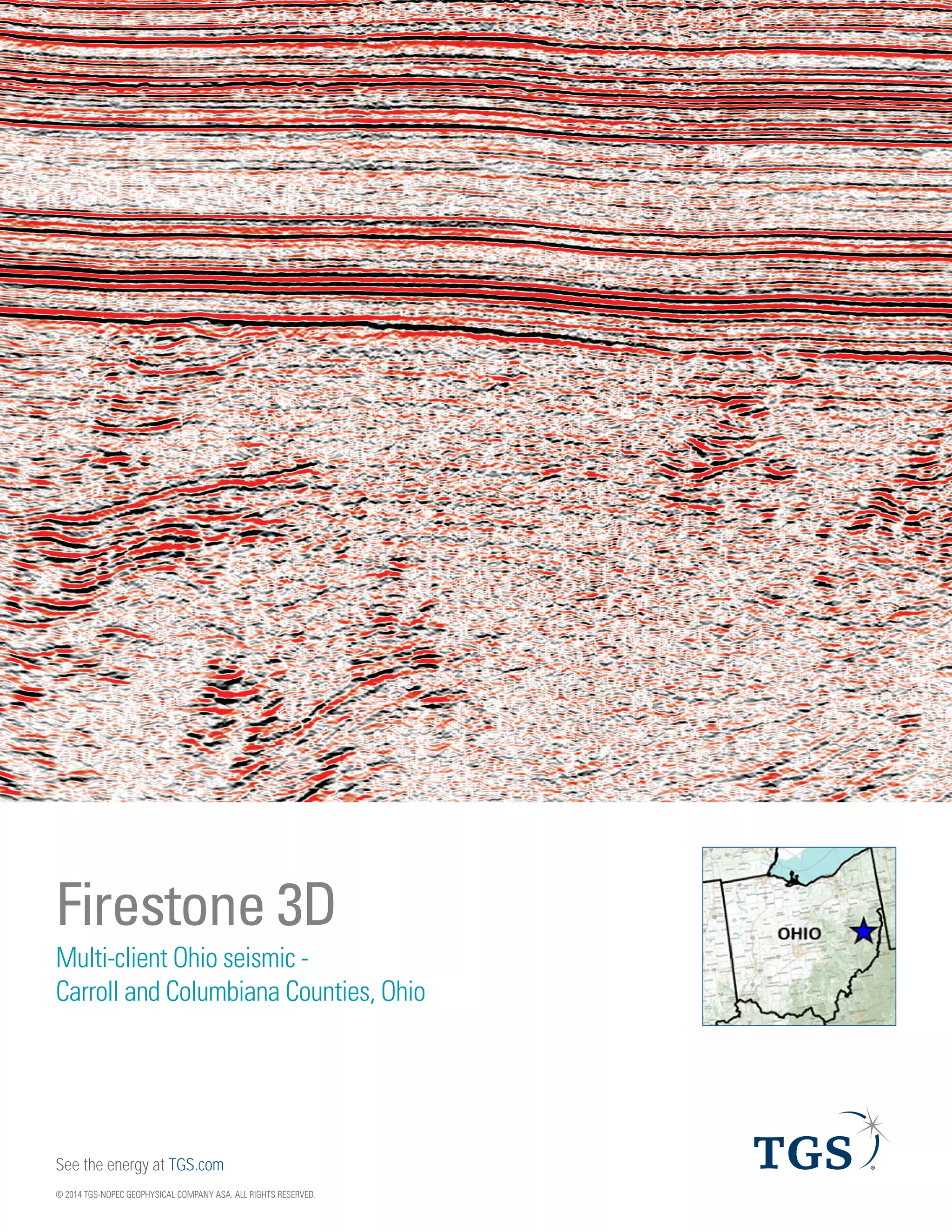 TGS NSA- Firestone 3D | PDF