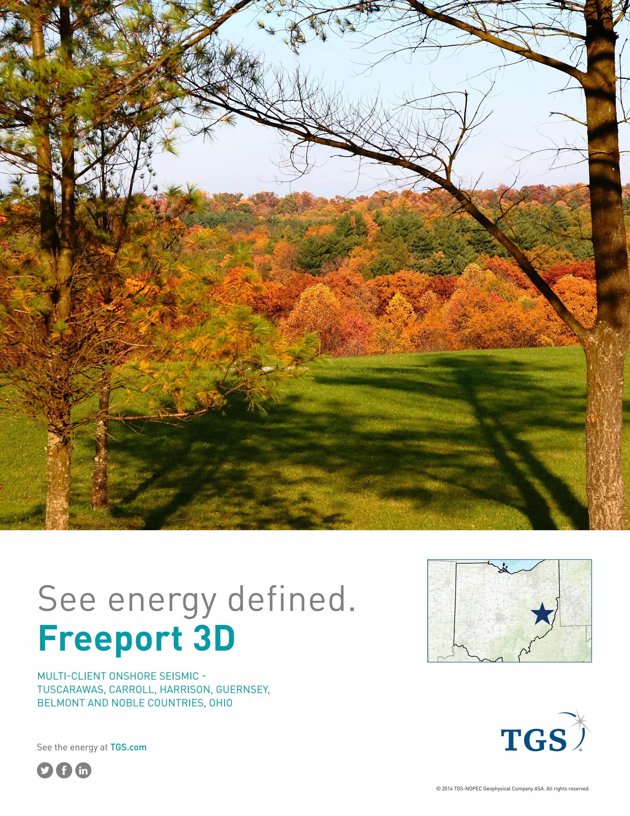 TGS NSA- Onshore Freeport 3D | PDF