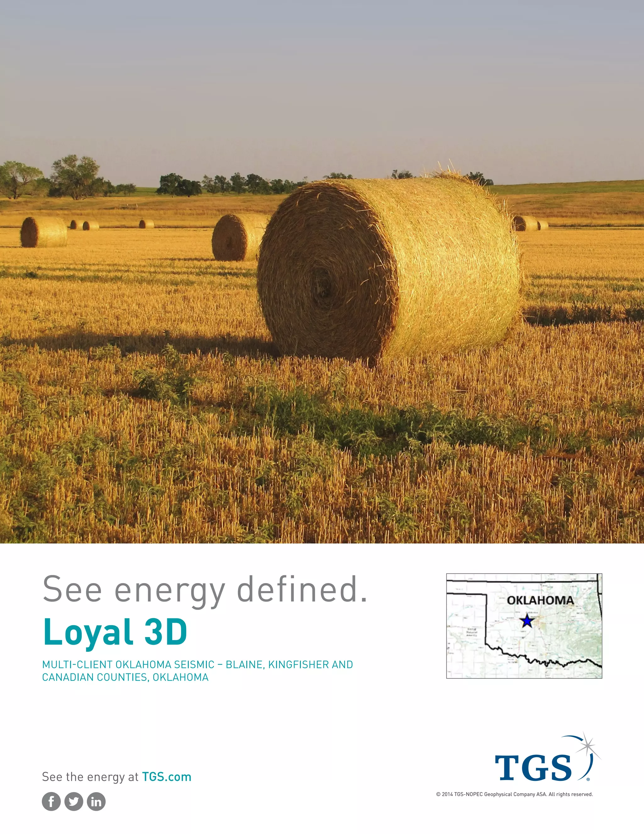 TGS NSA- Loyal 3D | PDF | Geology | Science
