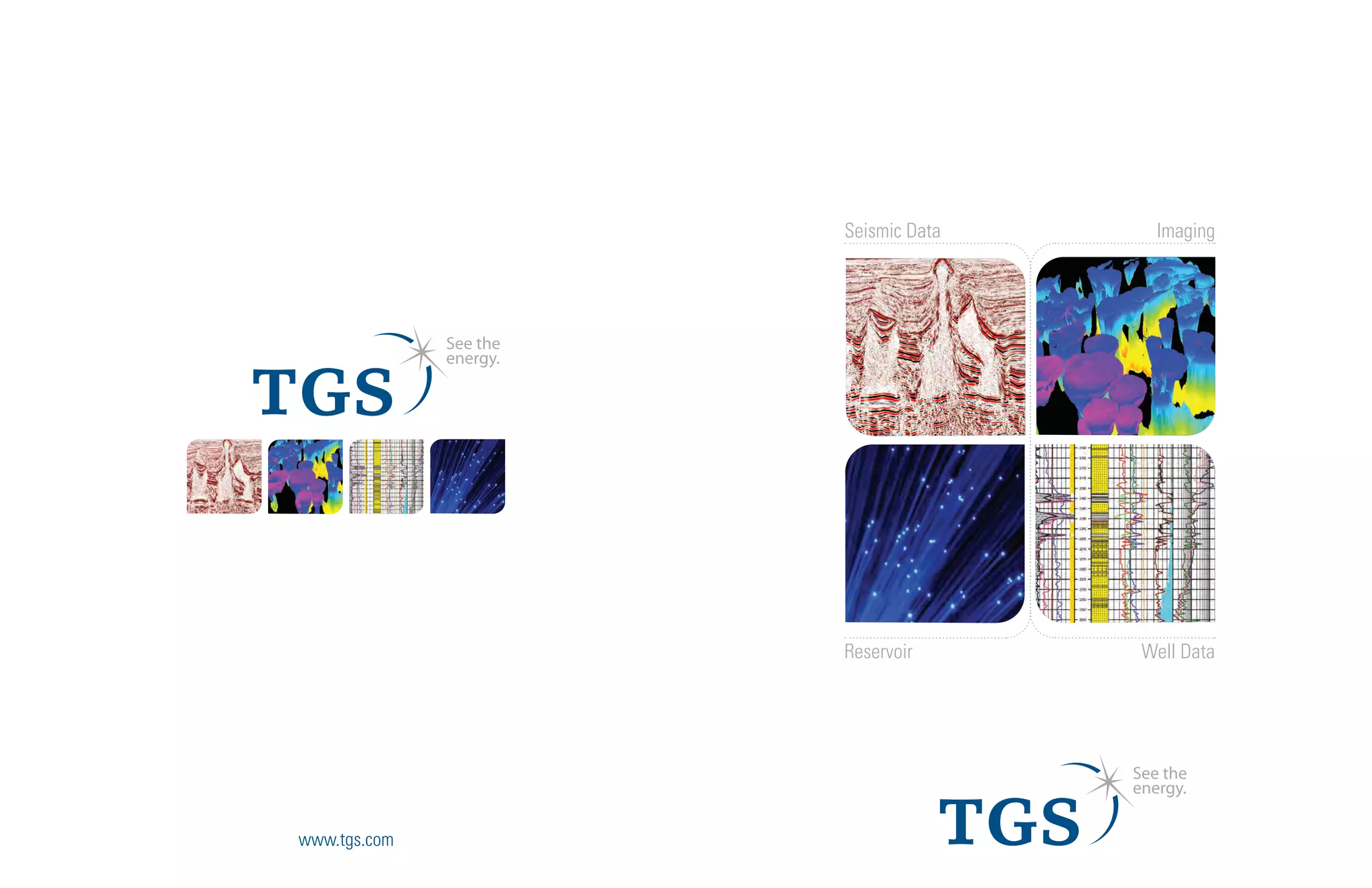 TGS Corporate Capabilities | PDF