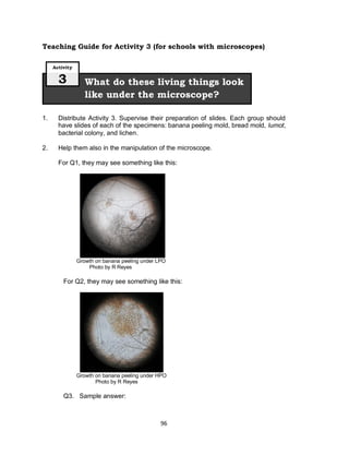 Science 7 Teachers Guide Department of Education | PDF