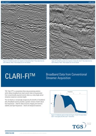 TGS IMG- Clari-Fi | PDF