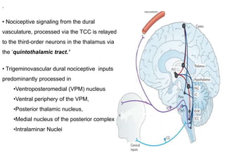 Trigeminovascular system seminar | PPTX