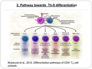 Immunological Role of Th-9 cell | PPT