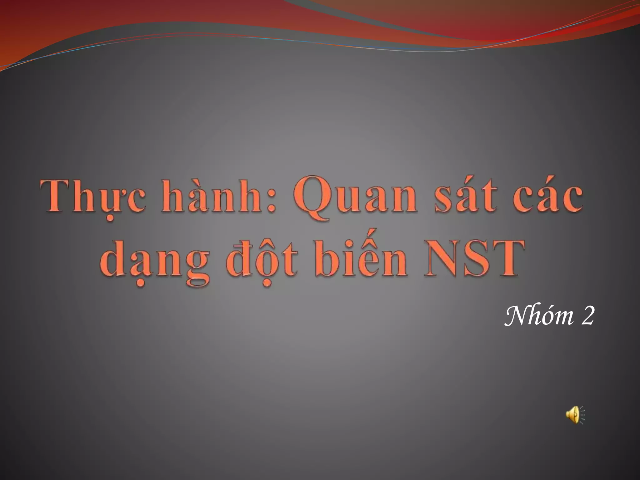 Thực hành: Quan sát các dạng đột biến NST | PPTX
