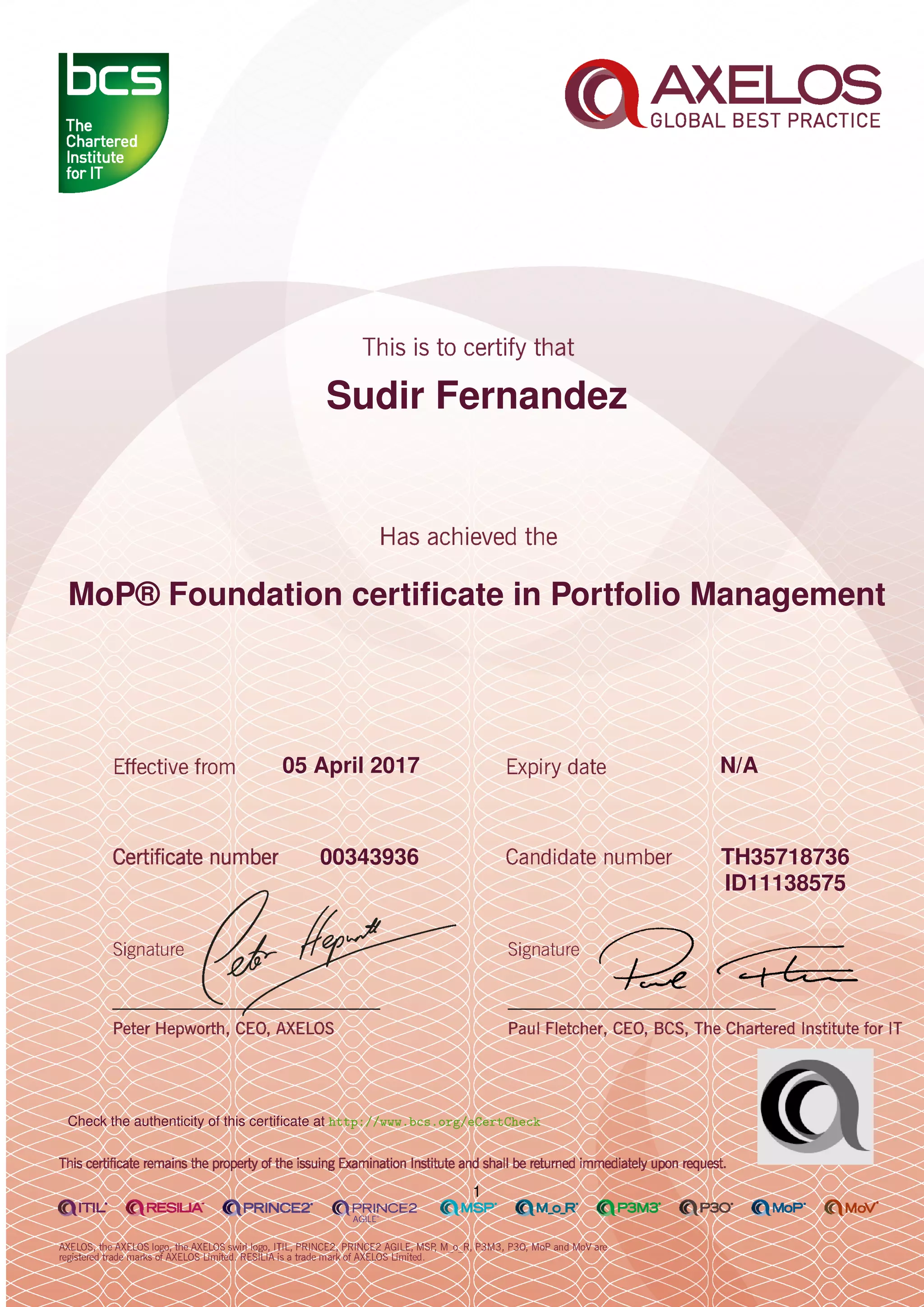 Management of Portfolios Foundation | PDF