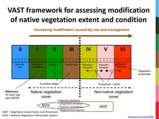 VAST: A Framework for Assessing the Transformation of Native Vegetation ...