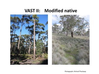 VAST: A Framework for Assessing the Transformation of Native Vegetation ...