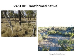VAST: A Framework for Assessing the Transformation of Native Vegetation ...