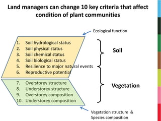 Transformation Pathways - The recovery and restoration of native ...