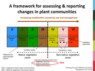 Transformation Pathways - The recovery and restoration of native ...