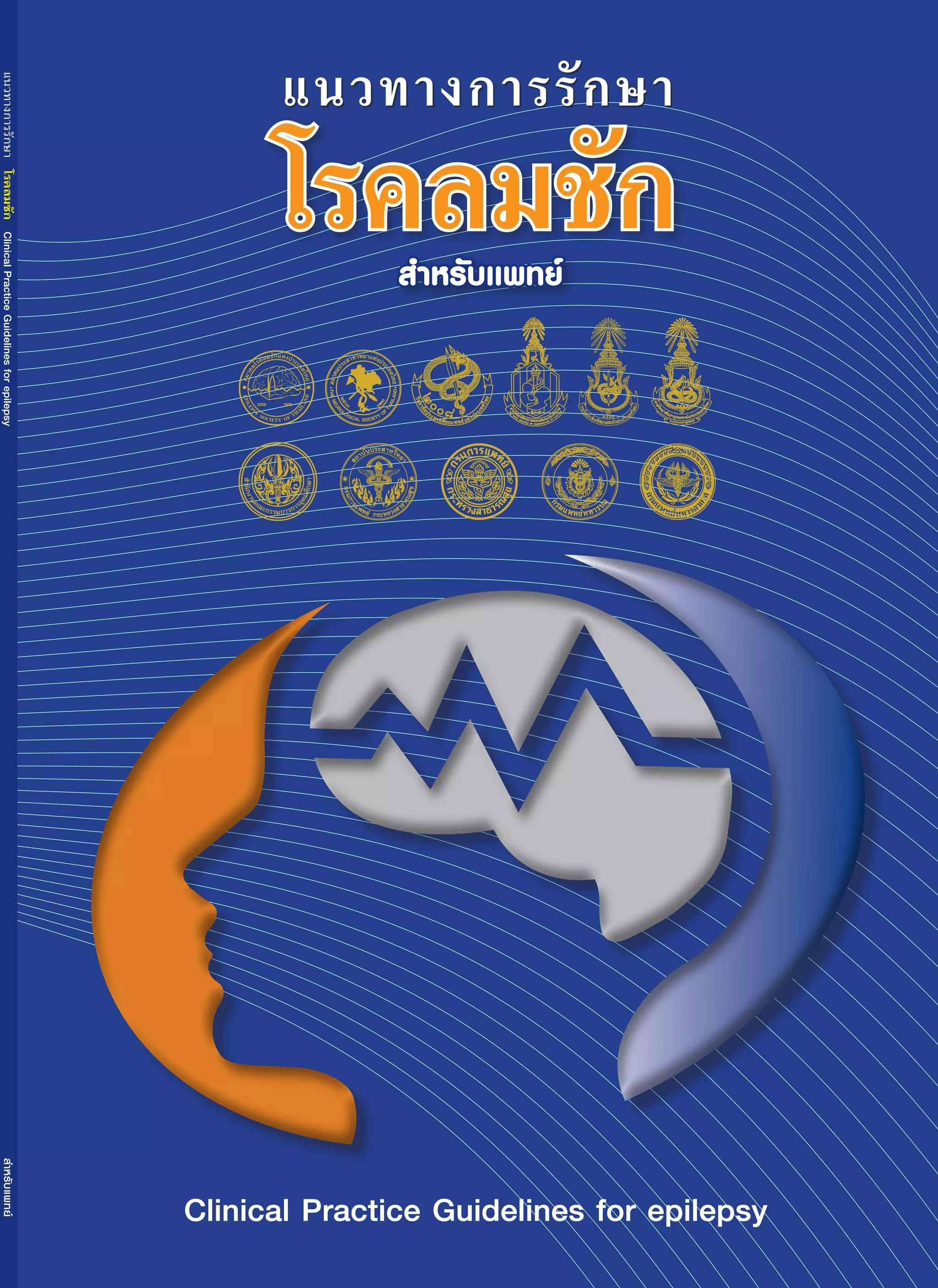 Clinical Practice Guidelines for epilepsy | PDF