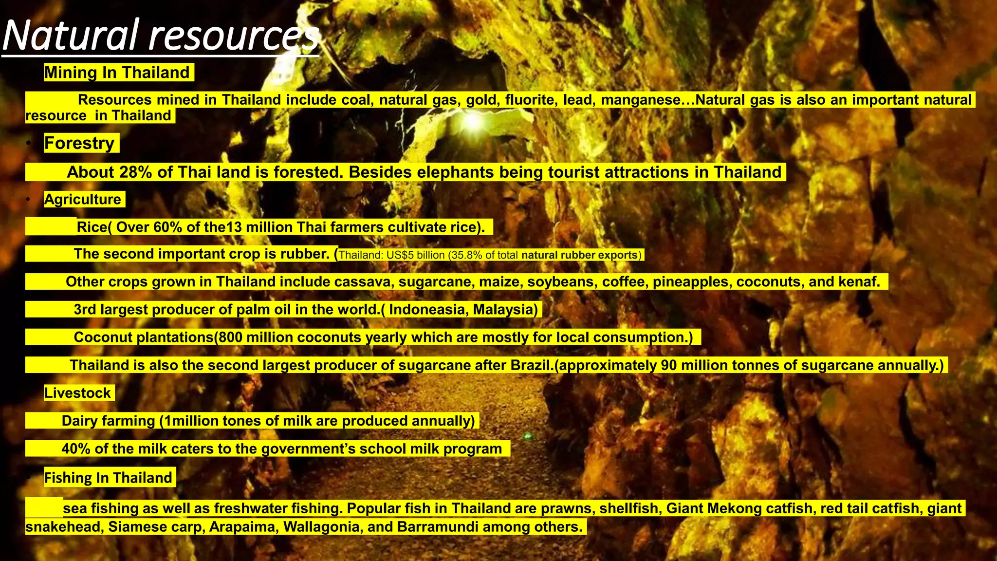 Thailand country study | PPTX