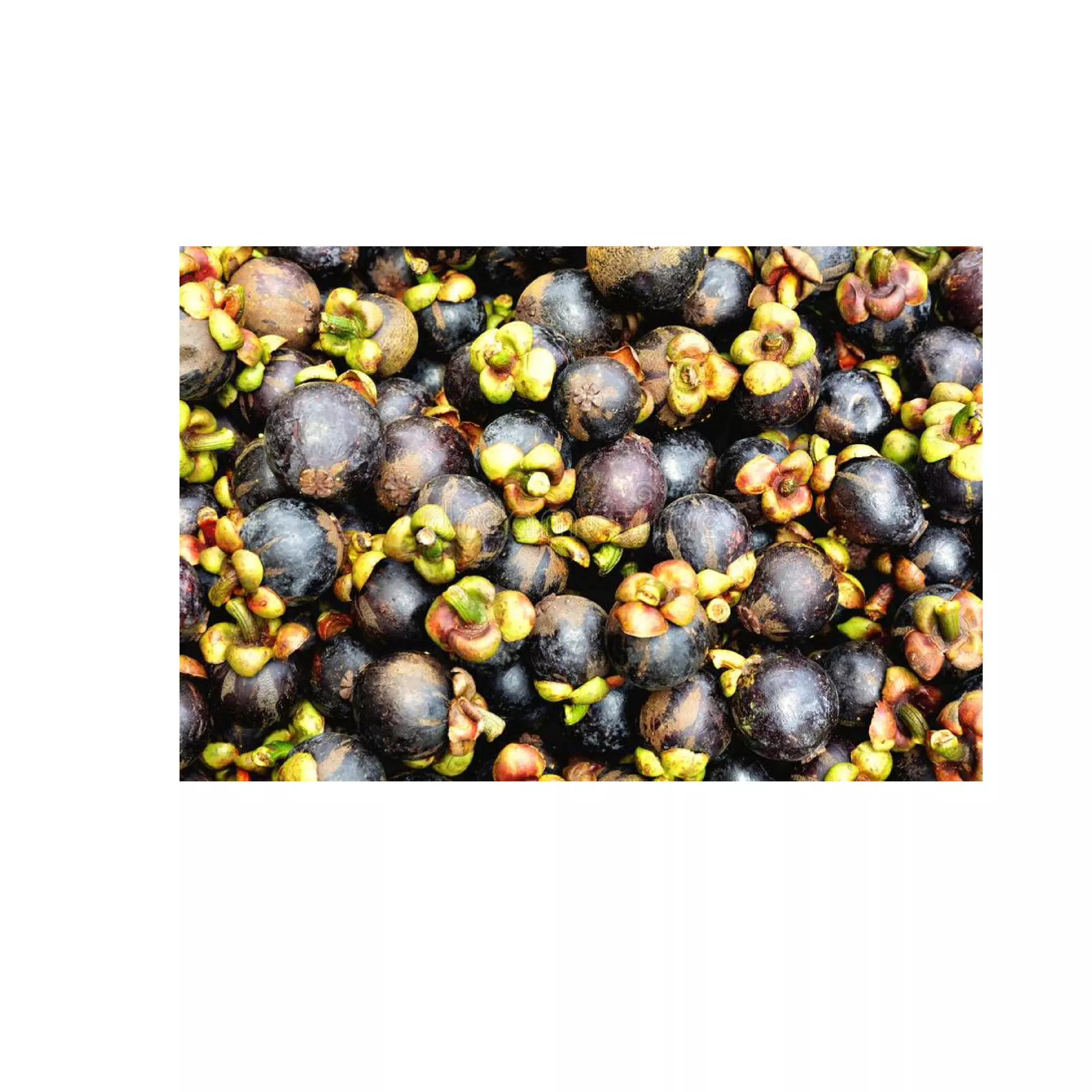 Thailand Fruits Picture.pdf
