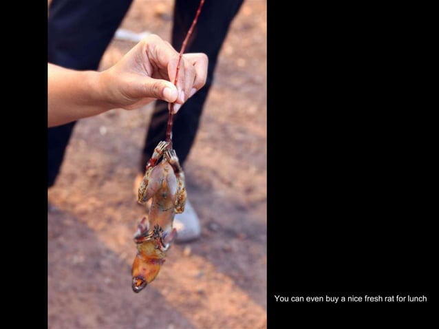 Thailand's Isan Region Part 1 of 4 | PPT