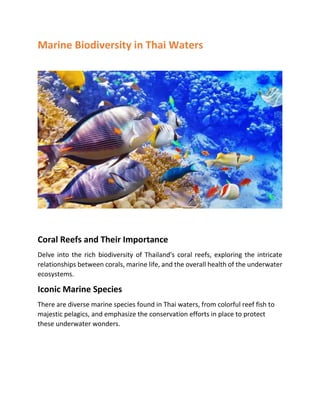 Thailand’s Aquatic Tapestry: Diving into the Deep | PDF | Scuba Diving ...