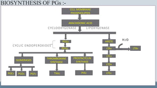 Prostaglandin and it's pharmacological role | PPTX