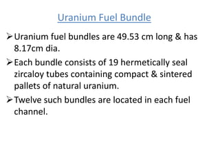 Nuclear Power plant | PPTX