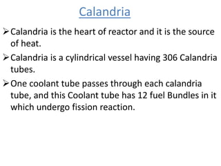 Nuclear Power plant | PPTX