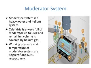 Nuclear Power plant | PPTX