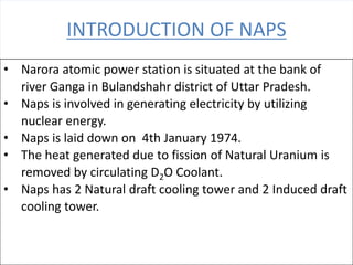Nuclear Power plant | PPTX