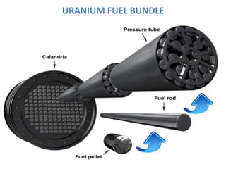 Nuclear Power plant | PPTX