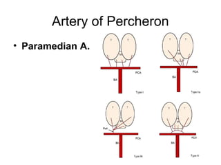 Paramedian Artery