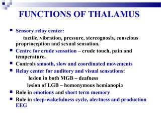 Thalamus | PPT